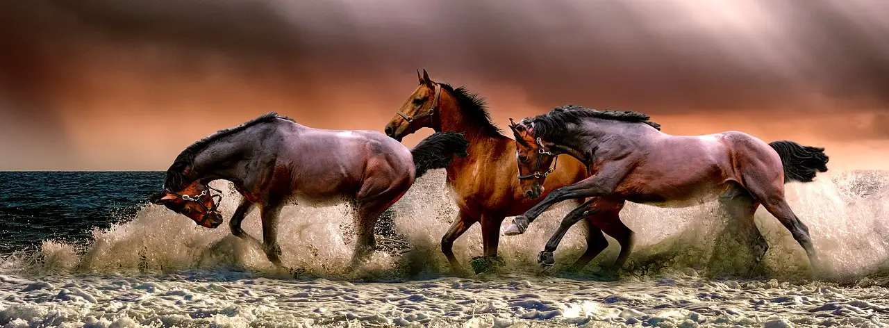 Ruhig Brauner – woher kommt diese Redensart?