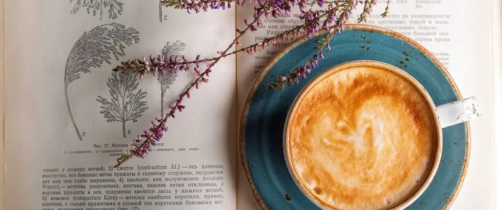 35+ Rhetorische Stilmittel: Liste mit Wirkung, Funktion & Beispielen + PDF