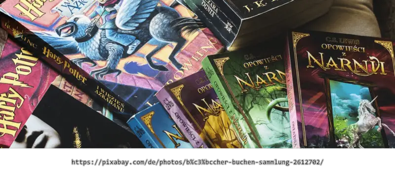 Was sind Todesser bei Harry Potter? - Aufklärung